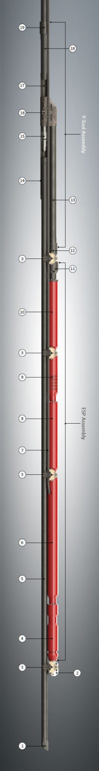 ESP System 002 – UMS Flowell